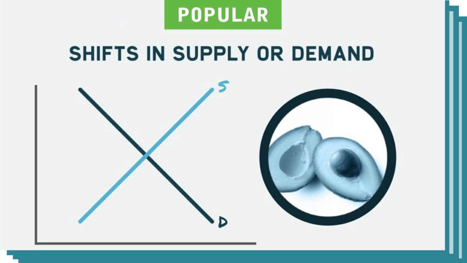 Interactive Practice | Supply and Demand | Interactive Practice by MRU