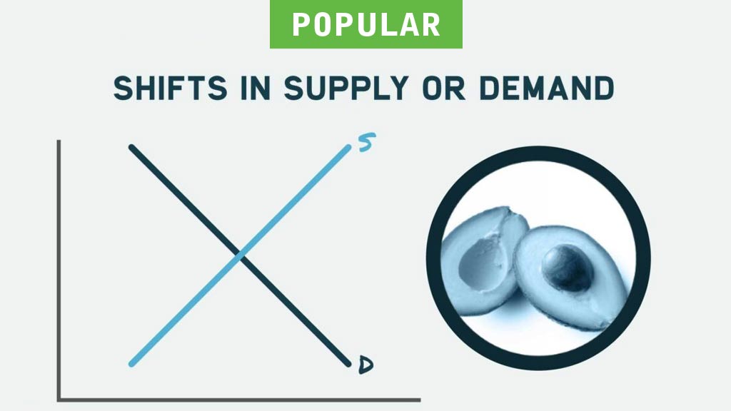 Interactive Practice by MRU