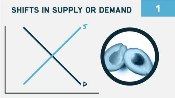 Shifts in Supply or Demand | Interactive Practice by MRU